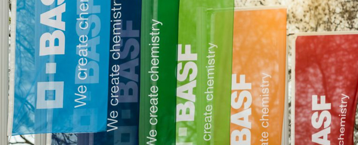 BASF denkt über weitere Investitionen in der Lausitz nach